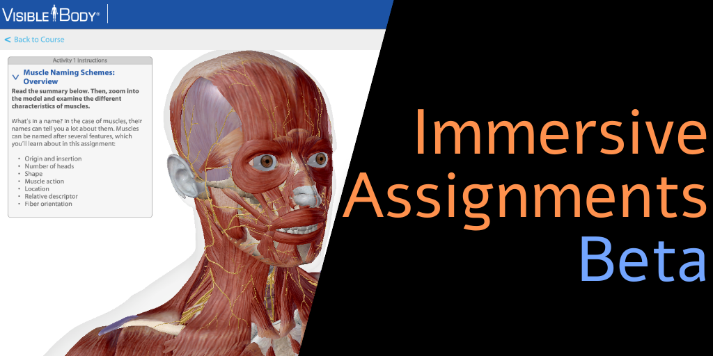 The Visible Body Blog